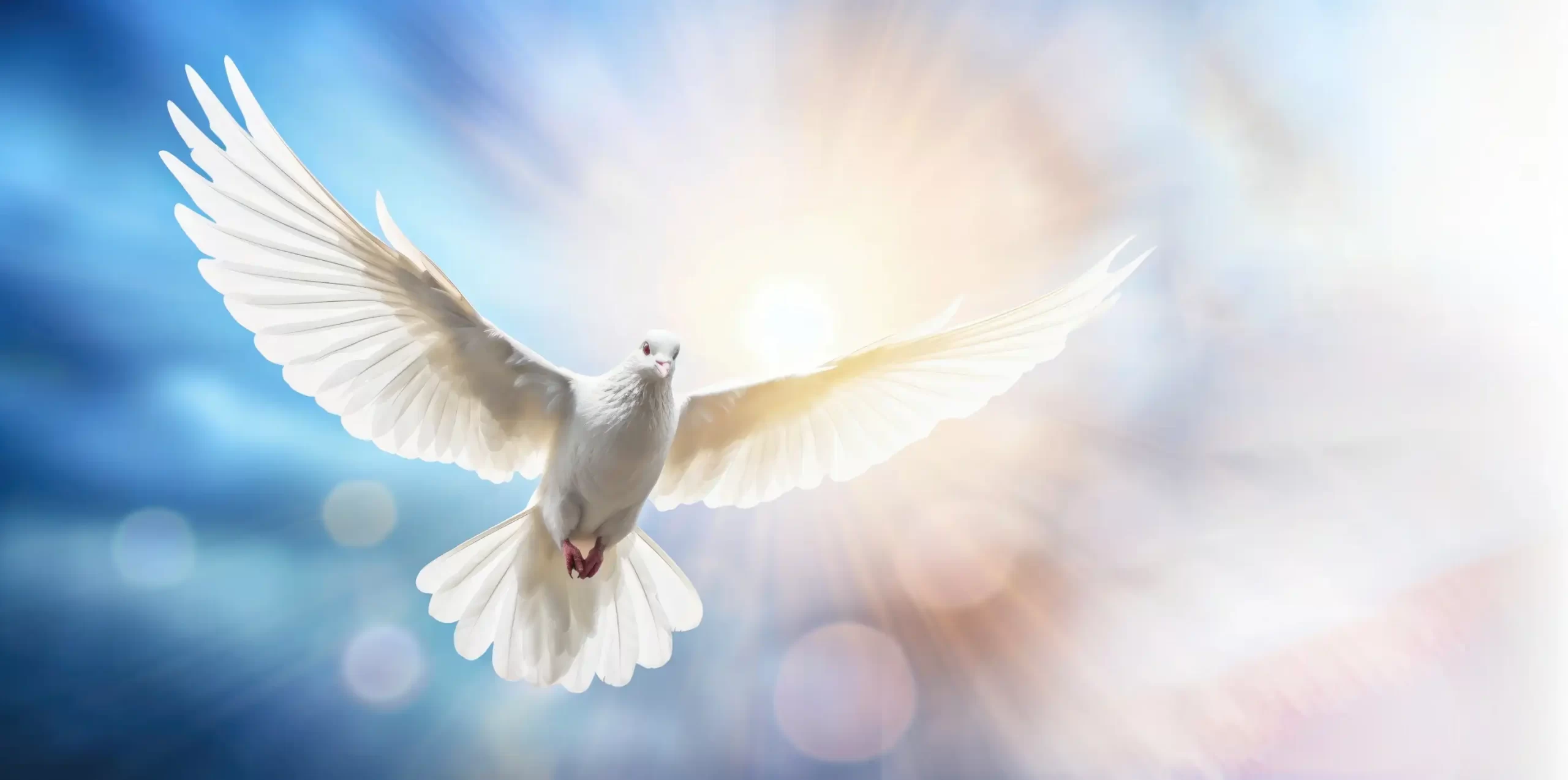 CHAPTER 7 - Receiving the Holy Spirit